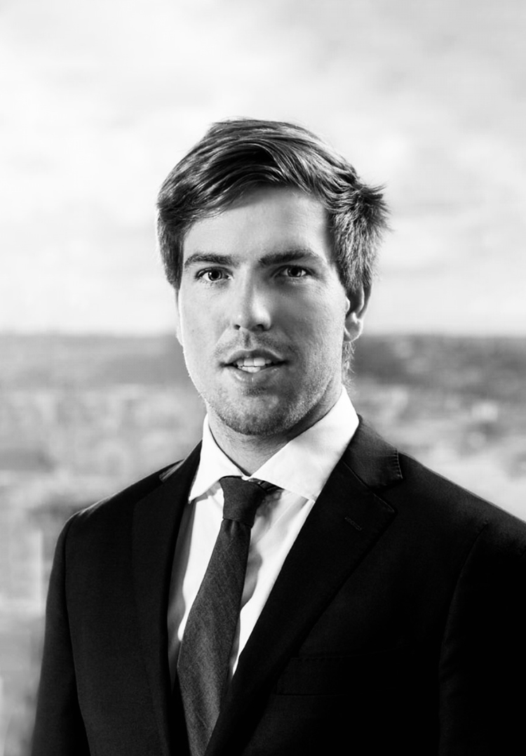 Company | Black Lion Group